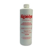 Algaedyn Algaecide Swimming Pool Chemical, Silver, 1 qt - Walmart.com