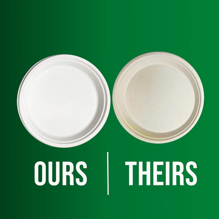 Plastic Plates Disposable 100 Compostable 3 Compartment Disposable ...