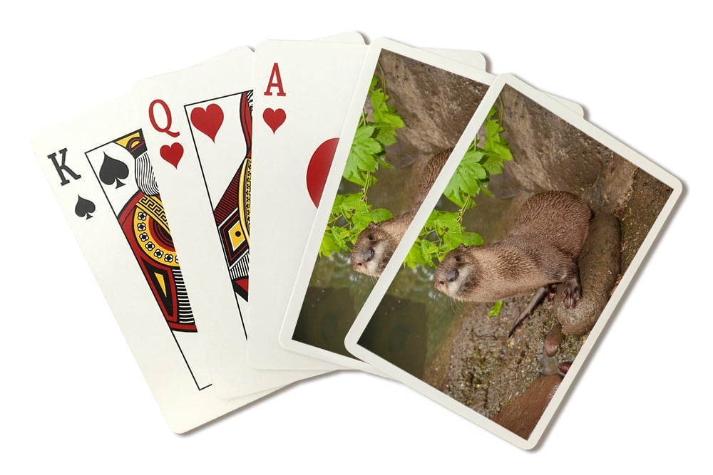 River Otter on Shore, Lantern Press, Premium Playing Cards, 52 Card ...
