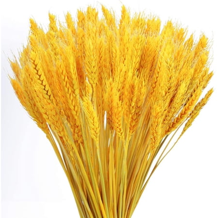 100Pcs Dried Golden Wheat Grass Fake Autumn Shrubs Plants Natural ...