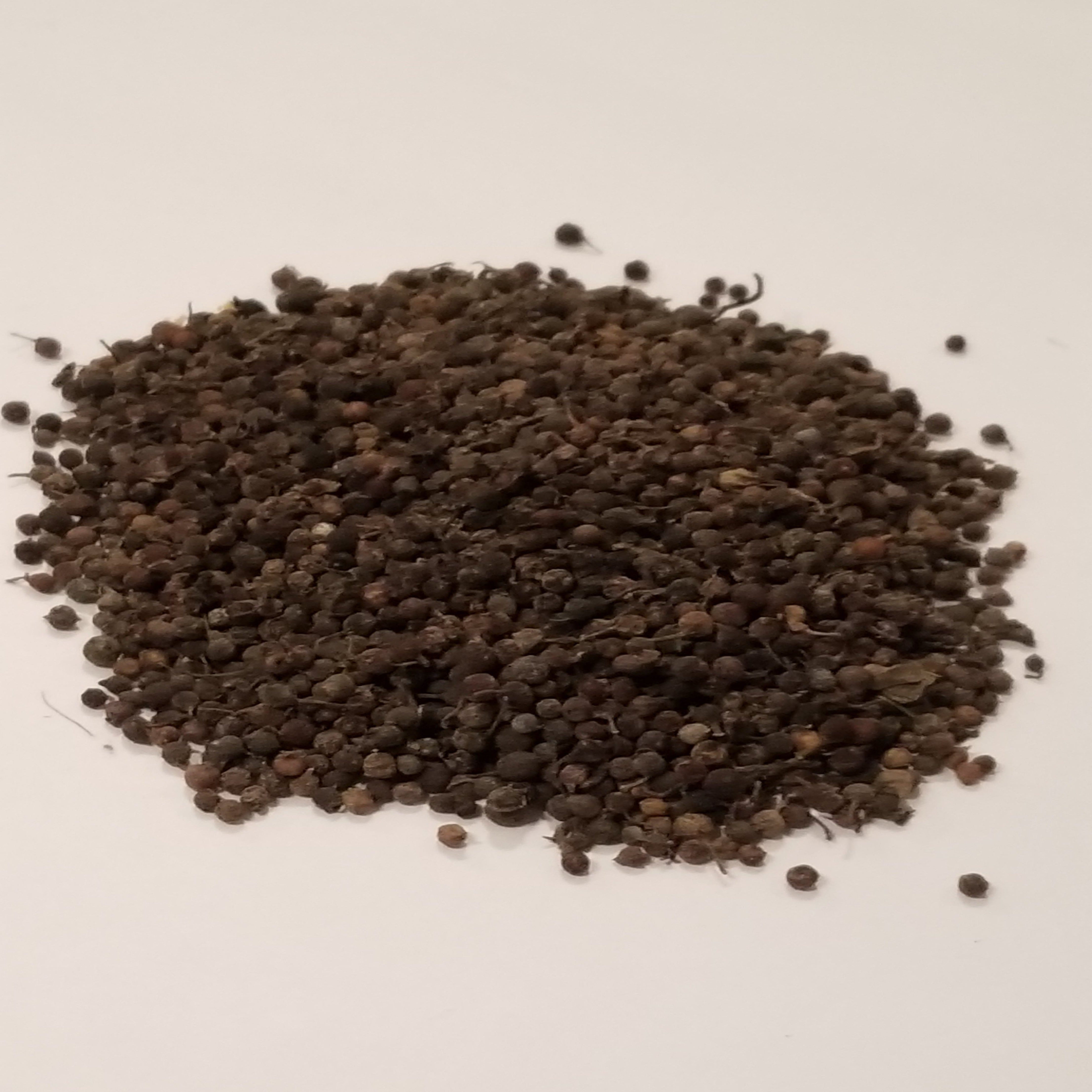 Black Pepper Seed