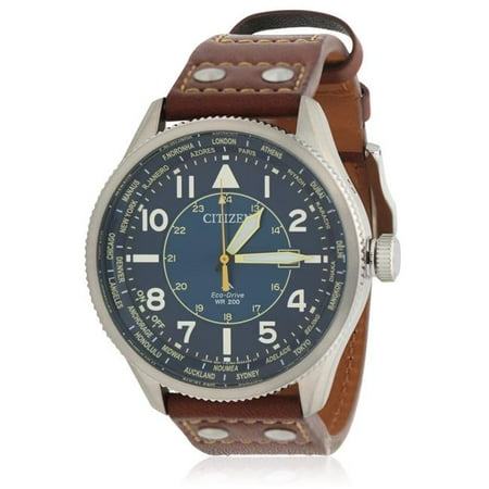 Citizen BX1010-11L Eco-Drive Promaster Nighthawk Watch for Mens ...