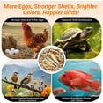 LuckyQworms 1LB Dried Freshwater Fish: 30% High-Protein Calcium-Rich ...