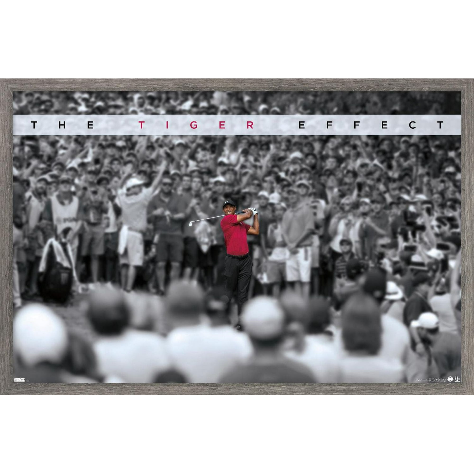 Click here for Trends International Tiger Woods - The Tiger Effec... prices