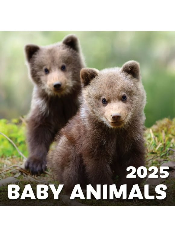 Wall Calendars in Calendars - Walmart.com