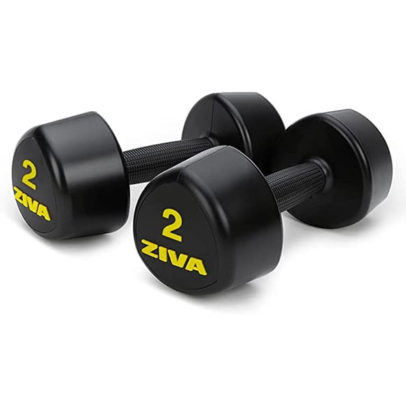2lbs Weights