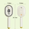 Electric Spray Air Cushion Massage Comb, Detangling Anti-Static Scalp ...