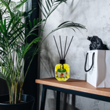 Touch Melon Reed Diffuser - Walmart.com