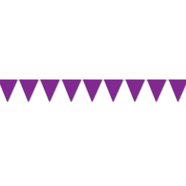 Beistle Pack of 6 Purple "Happy Birthday Award" School Award Ribbon ...
