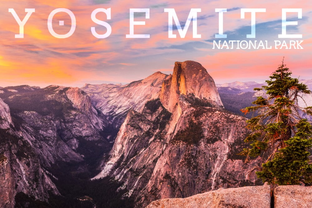 Yosemite National Park, California, Tree and Valley with Half Dome ...
