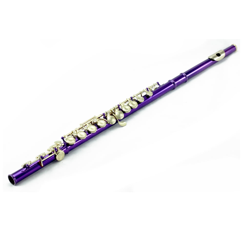 Sky C Flute with Lightweight Case, Cleaning Rod, Cloth, Joint Grease ...