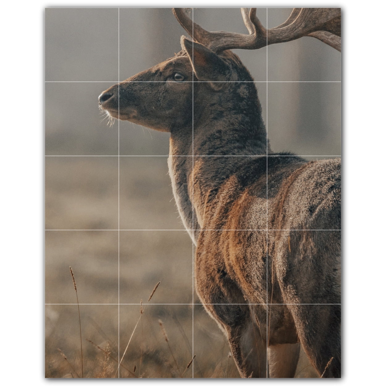 Picture-Tiles.com: Deer Ceramic Tile Wall Mural WAL500448-45XL. 48"W x ...
