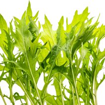 Anise Seed - 4 Oz - Non-GMO, Heirloom - Culinary & Medicinal Herb ...