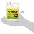Southern Ag Stop Blossom-End Rot, Corrects Calcium Deficiency, 16 fl oz ...