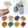 50pcs Mini Green Pole White Starry Sky Preserved Dried Flowers DIY ...