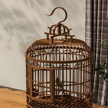 BIRD STARTER KIT - Walmart.com