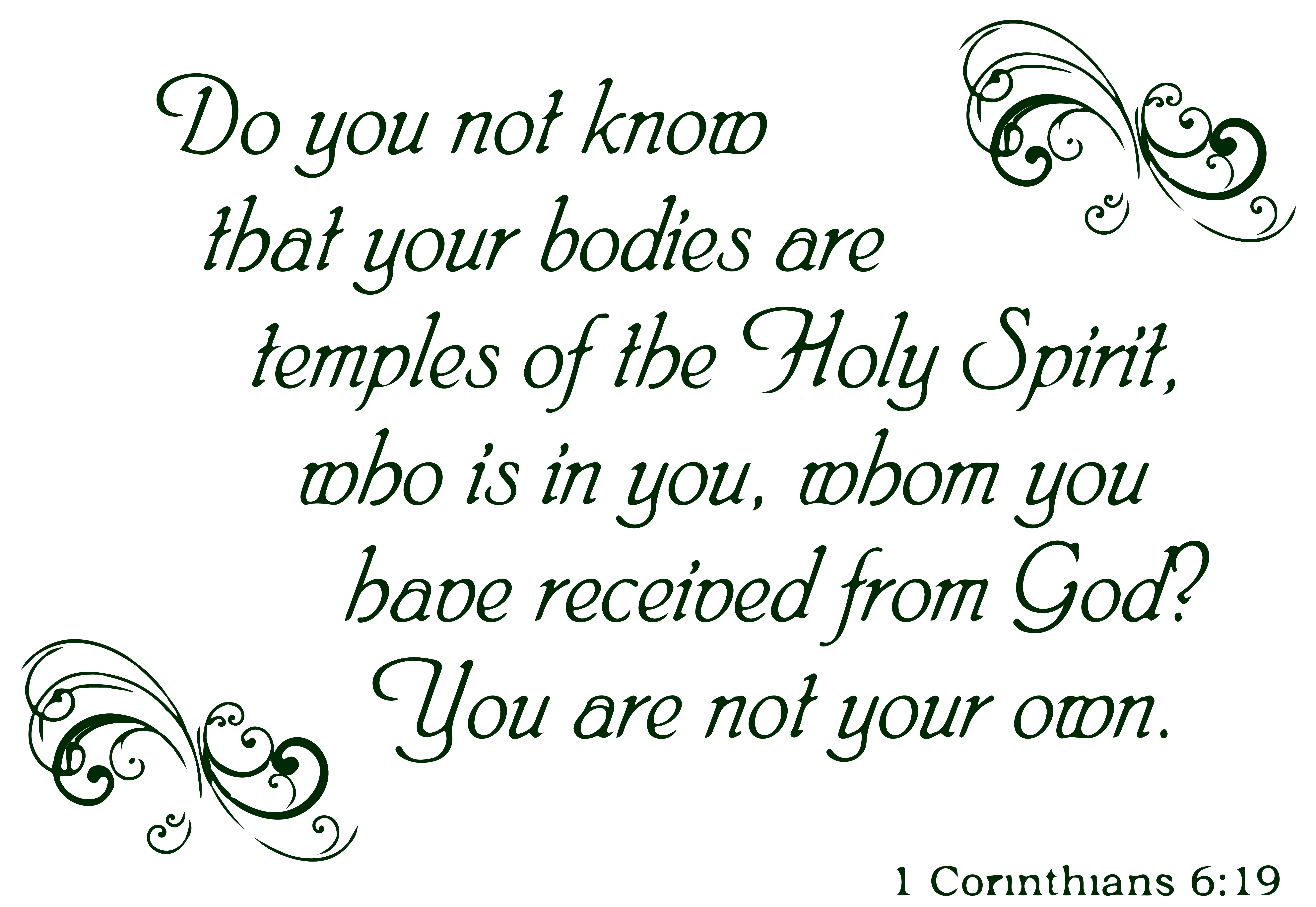 1 Corinthians 6:19 - Do you not know that yourâ ¦ Vinyl Decal Sticker ...