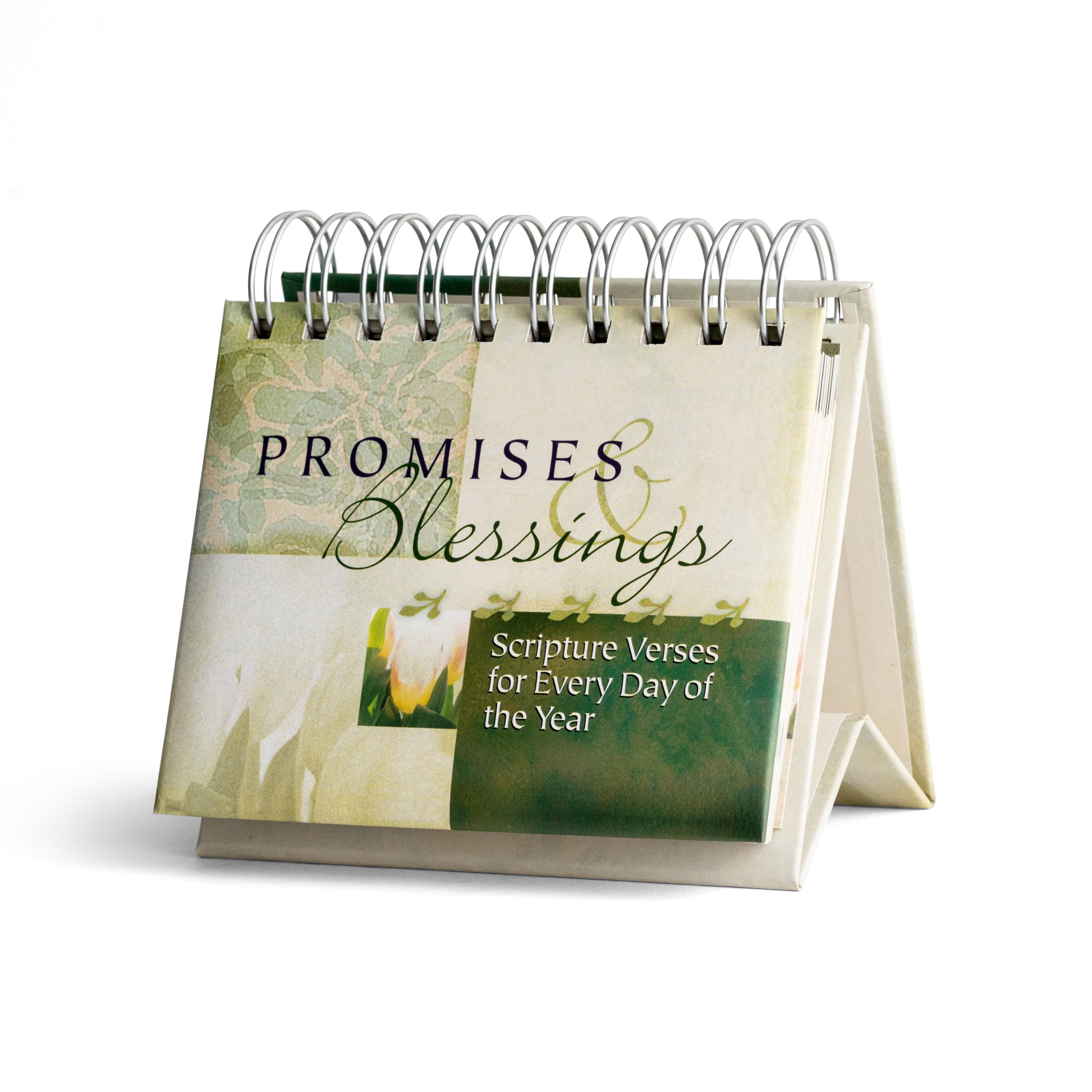 DaySpring - Promises & Blessings: Scriptures Verses for Every Day of ...