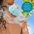 Bodycology 2 In 1 Body Wash And Bubble Bath Sun Kissed Lemons 16 Fl Oz