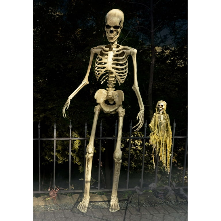 Nephilim Skeletons