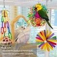 2CFun Bird Toys, Parakeet Perch with Bells, Foraging and Shredding ...