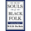 The Souls of Black Folk, (Hardcover) - Walmart.com