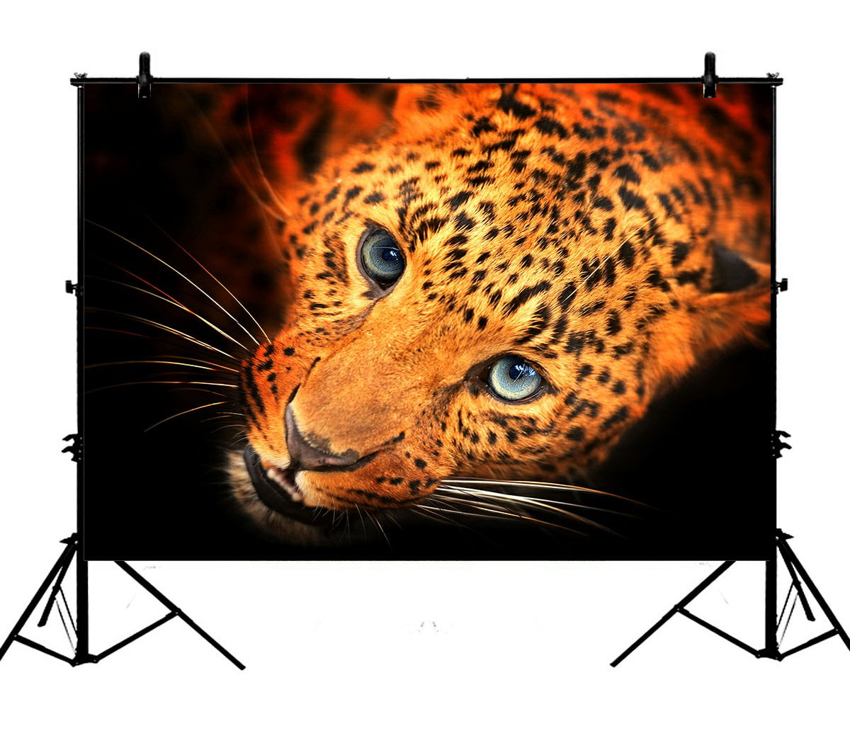 PHFZK 7x5ft Wildlife Backdrops, Nature Series of Animal Leopard ...