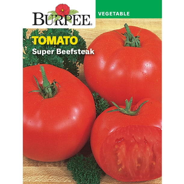 Burpee Burpee's Supersteak Hybrid Tomato Vegetable Seed, 1-pack ... Burpee Burpee's Supersteak Hybrid Tomato Vegetable Seed, 1-pack ...