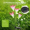 Solarek 2Pcs Solar Garden Lights Outdoor Lily Flower LED Light 7-Color ...