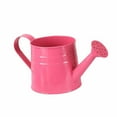 Miulika Metal Mini Watering Can Planter Flower Container Rustic ...