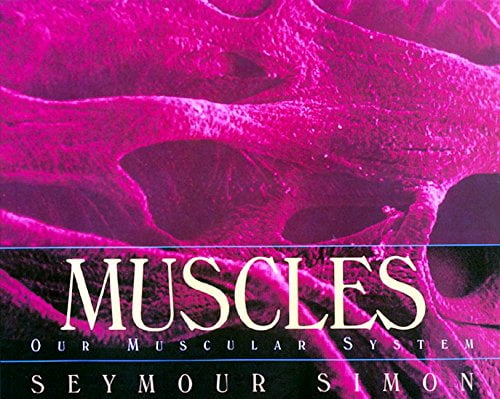 Pre-Owned Muscles: Our Muscular System (Hardcover) by Seymour Simon ...