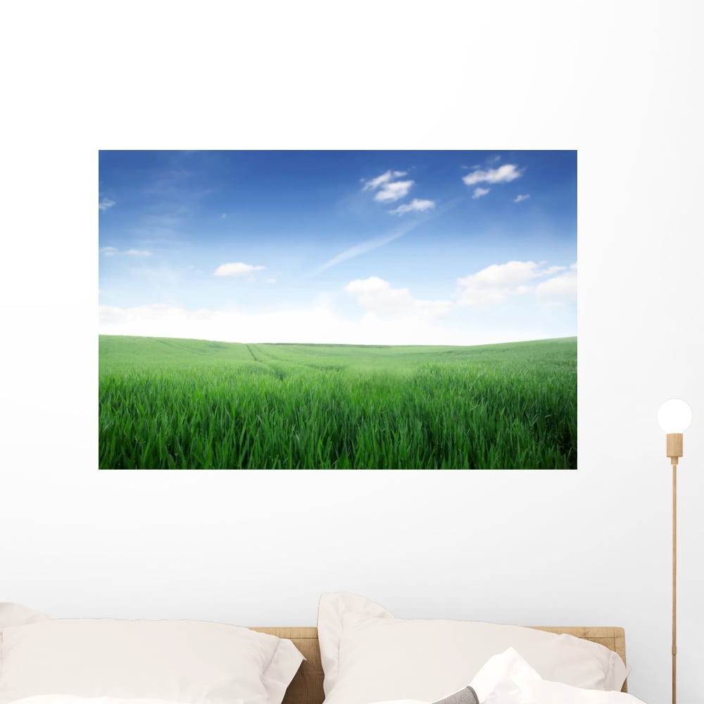 Grass Field Wall Mural by Wallmonkeys Peel and Stick Graphic (36 in W x ...