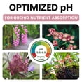 Orchid Soil - Premium Potting Mix for Phalaenopsis, Dendrobium ...