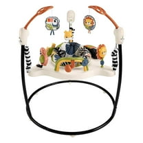 Fisher-Price Palm Paradise Bouncer Jumperoo, Baby Jumping Play Activity ...