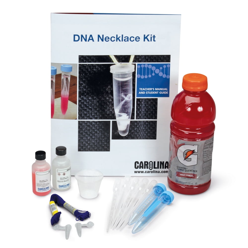Dna Necklace Demonstration Kit, Build Your Own Nucleotides - Walmart.com