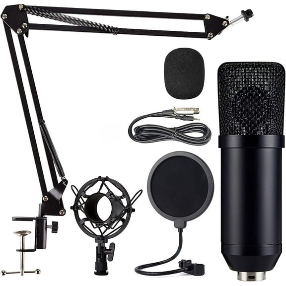 BM800 Condenser Studio Mic Kits: Starter Set, Professional Setup, Music ...