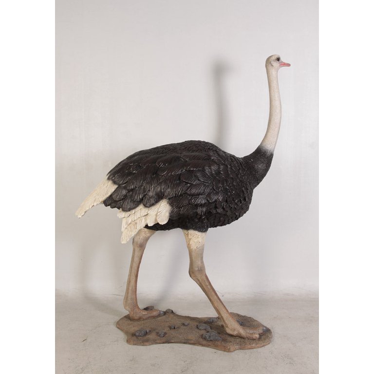 Ostrich Size
