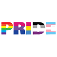 CafePress - LGBTQ Pride Men's Fitted T Shirt (Dark) - Fitted T-Shirt ...