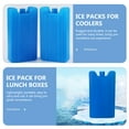 Eease Ice Cube Storage Bin + 4 Packs for Coolers & Lunch Bags - Walmart.com