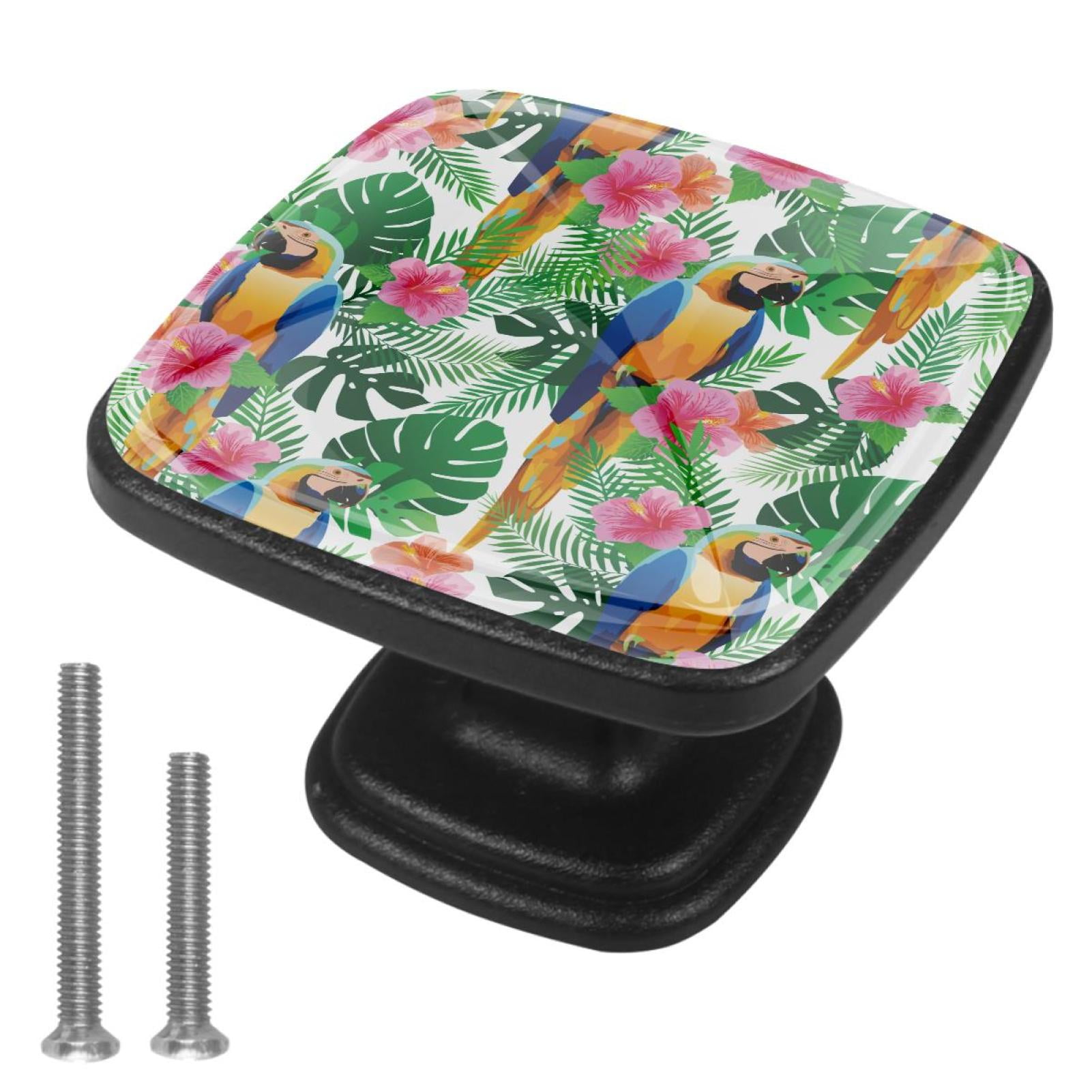 4 Pcs Cabinet Handle Drawer Pulls Parrot Knobs with Screws Square ...
