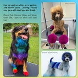 OPAWZ Permanent Dog Hair Dye, Pet Hair Dye Safely Used by Grooming ...