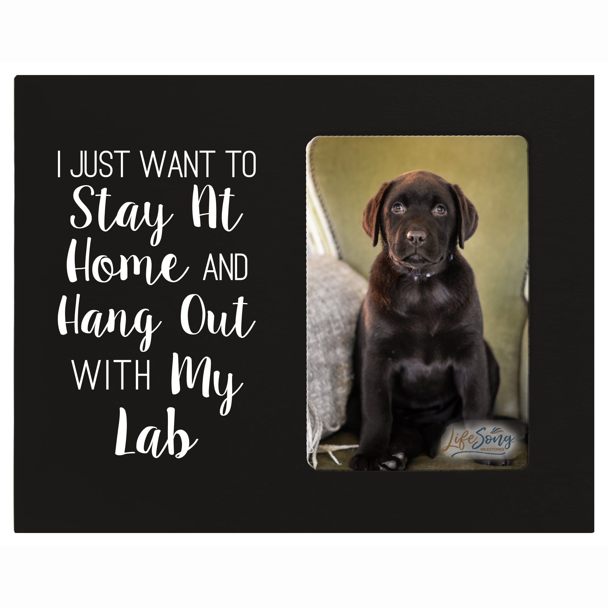 Printed Labrador Retriever Photo Frames - Stay Home - Walmart.com