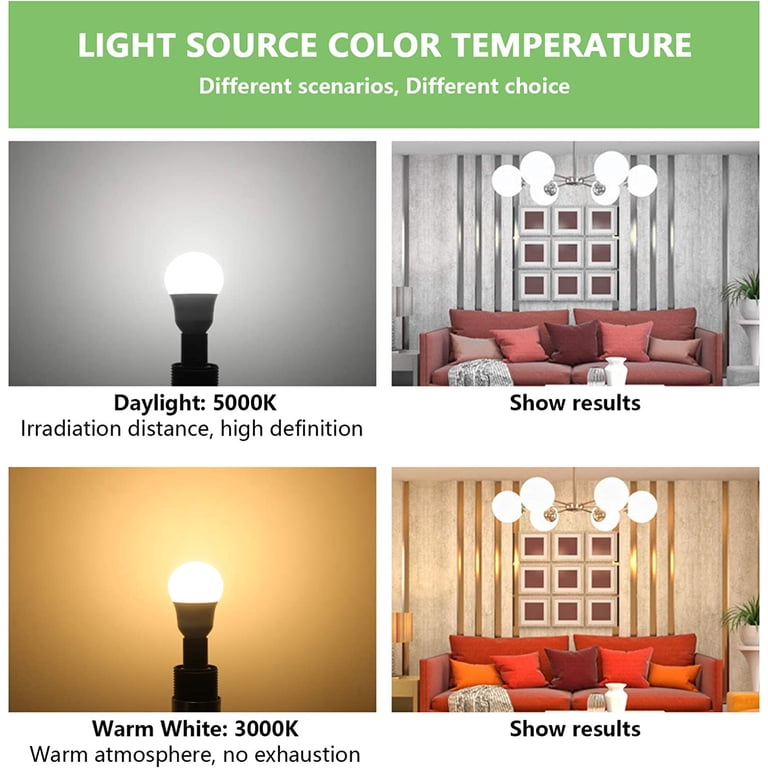 Intermediate Base Led Bulb Daylight | Shelly Lighting