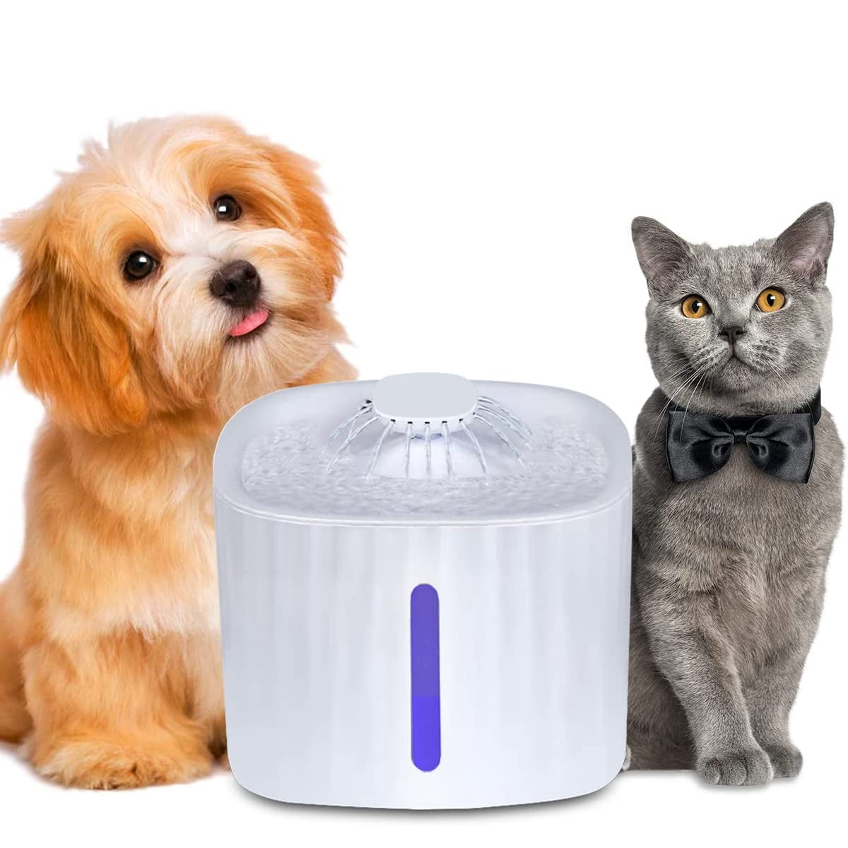 Cat Water Fountain, 100oz/3L Automatic Water Fountain Dispenser for ...