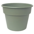 Bloem Dura Cotta Planter 14" Exotica - Walmart.com