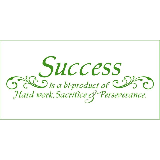 Success is a bi-product of Hard Work, Sacrifice.. Vinyl Quote - Medium ...