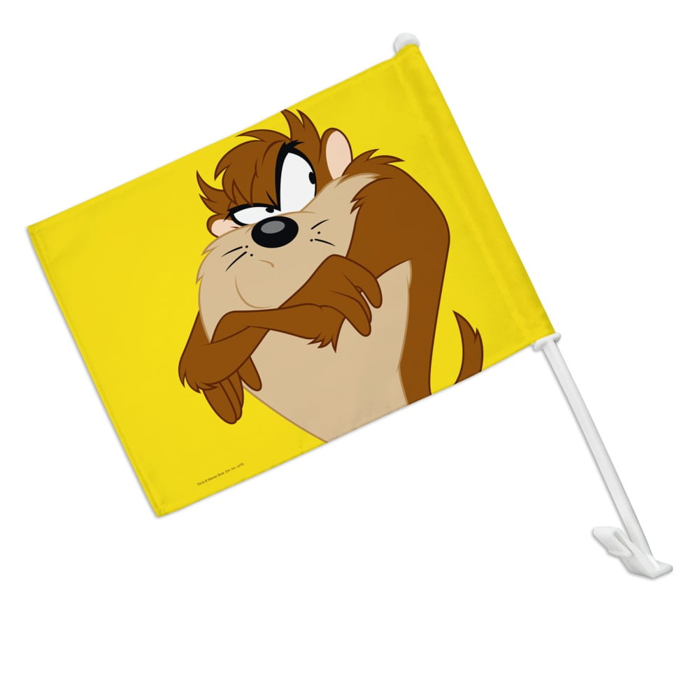 Looney Tunes Taz Car Truck Flag with Window Clip On Pole Holder ...