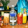 Absolut Original Vodka 50mL, 80 Proof - Walmart.com