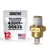 Pentair 42001-0063S High Limit Switch for Pool Heater Repair - Walmart.com