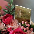 3drose, Blacktail Prairie Dogs, Devils Tower Nm, Wyoming - Us51 Pox0008 ...